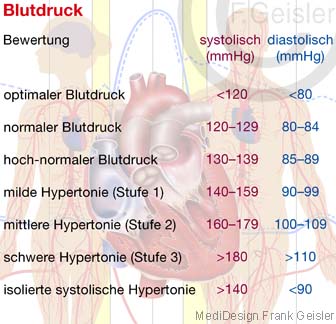 Kreislaufregulation, Kontrolle und Regulation Blutdruck – Anatomie Physiologie des Menschen